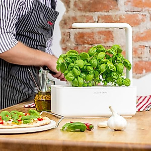 Click & Grow Indoor Herb Garden Kit with Grow Light | Smart Garden for Home Kitchen Windowsill | Easier Than Hydroponics Growing System | Vegetable Gardening Starter (3 Basil Pods Included), White