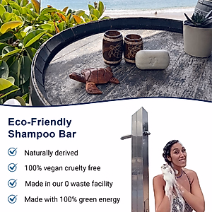 Pacific Spirit Bar Shampoo for normal hair with Coconut Oil & Raspberry, Rich foam, Sulfate-Free, Soap-Free, Zero Waste, Vegan, Eco-Friendly, 3.53 Oz