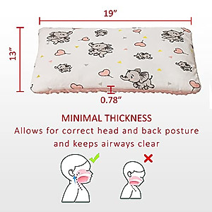 DaysU Minky Baby Blanket and Baby Pillow Set with Pink Elephant Pattern and Soothing Raised Dots for Newborn Baby Girls in Baby Crib Nursery Toddler Bed Cot