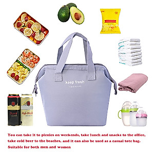 Lovyan Reusable Insulated Lunch Bag Stylish Bento Lunch Bag Water-resistant Lunch Tote Bag Lunch Box Containers for Women Men Adults Work Picnic (Grey)