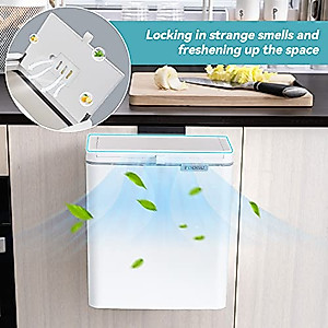 FODISU Hanging Trash Can with Lid 2.4 Gallon Kitchen Garbage Can with Sliding Lid, 9 Liter Wall-Mounted Compost Bin for Under Sink, Small Plastic Trash Can for Cupboard, Bathroom, Studio, Bedroom