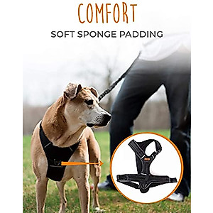 Mighty Paw Sport Harness, No-Pull Front Attachment Dog Harness, Neoprene Padded Lining, Reflective Stitching, 2 Leash Attachment Options (Medium, Black)