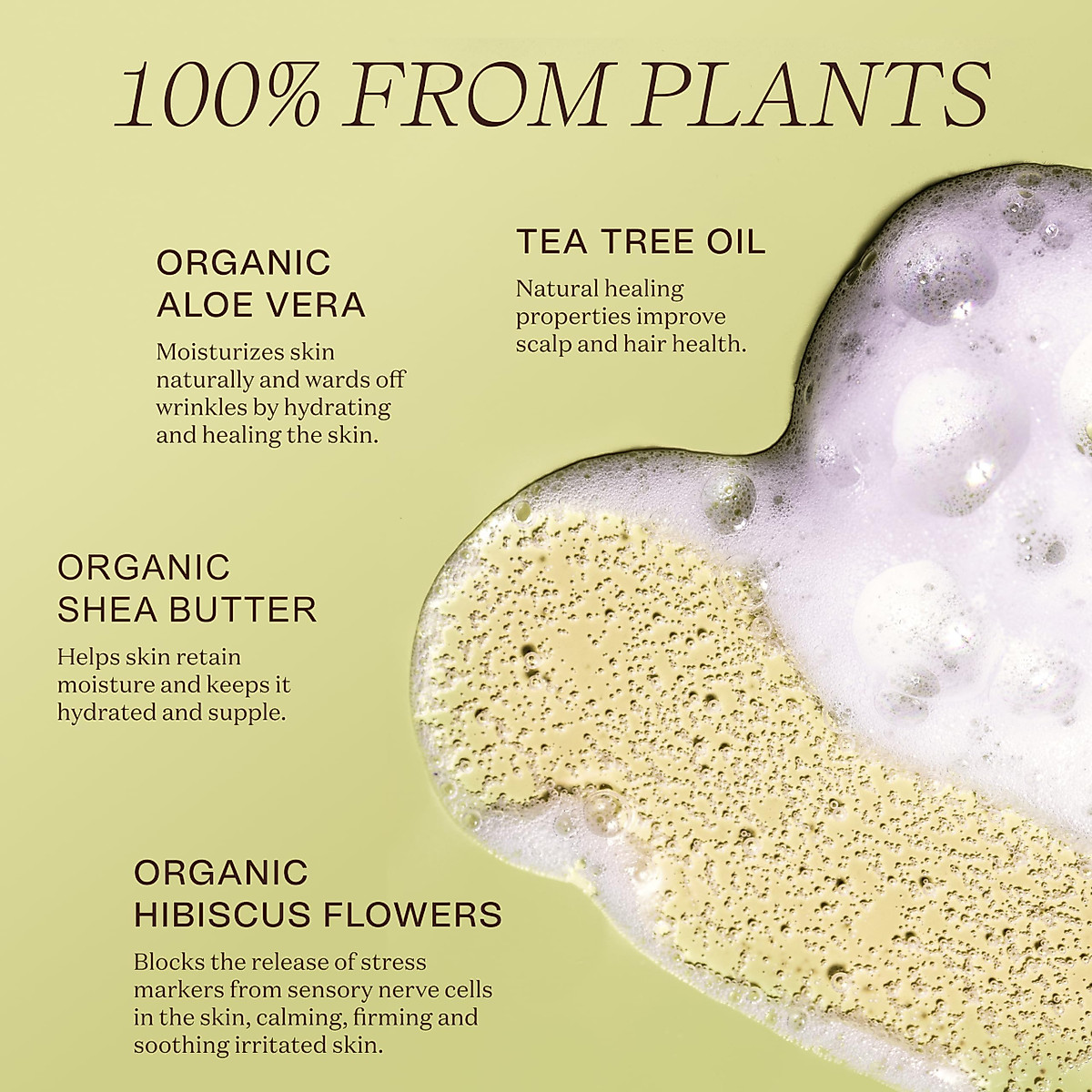 Ingreendients Natural Body Wash With Organic Ingredients - Moisturizing For Dry and Sensitive Skin, Vegan, Cruelty Free, Sulfate Free, Betaine Free (2 x 16 FL. Oz)