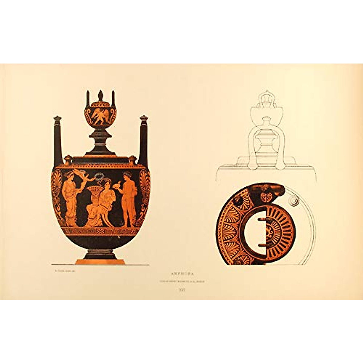 Amphora (XVI)