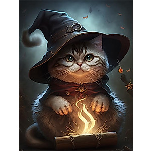 Diamond Painting Kits for Adults,Beautiful Cat Wizard 5D DIY Diamond Art Kits Full Drill Diamond for Gift Wall Decor Gem Arts Cute Cat 8 * 12inch