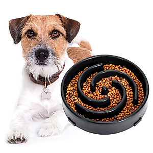WHIPPY Slow Feeder Bowl for Small Medium Dog Fun Maze Feeder Dog Food Water Bowl Anti-Slip Puzzle Bowl No Chocking Healthy Interactive Bloat Stop Dog Bowl Dish,Medium,Black