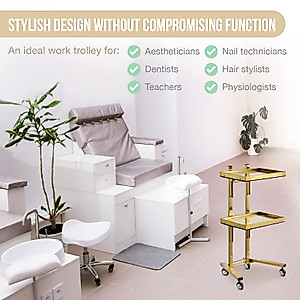 Multifunctional 2-Tray Utility Cart on Wheels - Gold 2-Level Medical Trolley Cart - Mobile Storage Tray Cart for Dental Tools, Cavitation Machine, Salon Supplies - Brass Foldable Storage Trays