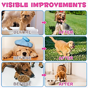 Collagen for Dogs,Liquid Collagen for Dogs,Collagen Supplement for Dogs,Collagen Boost for Dogs with Biotin, MSM & Ginger,Delicious Bacon Flavor,2 Fl Oz