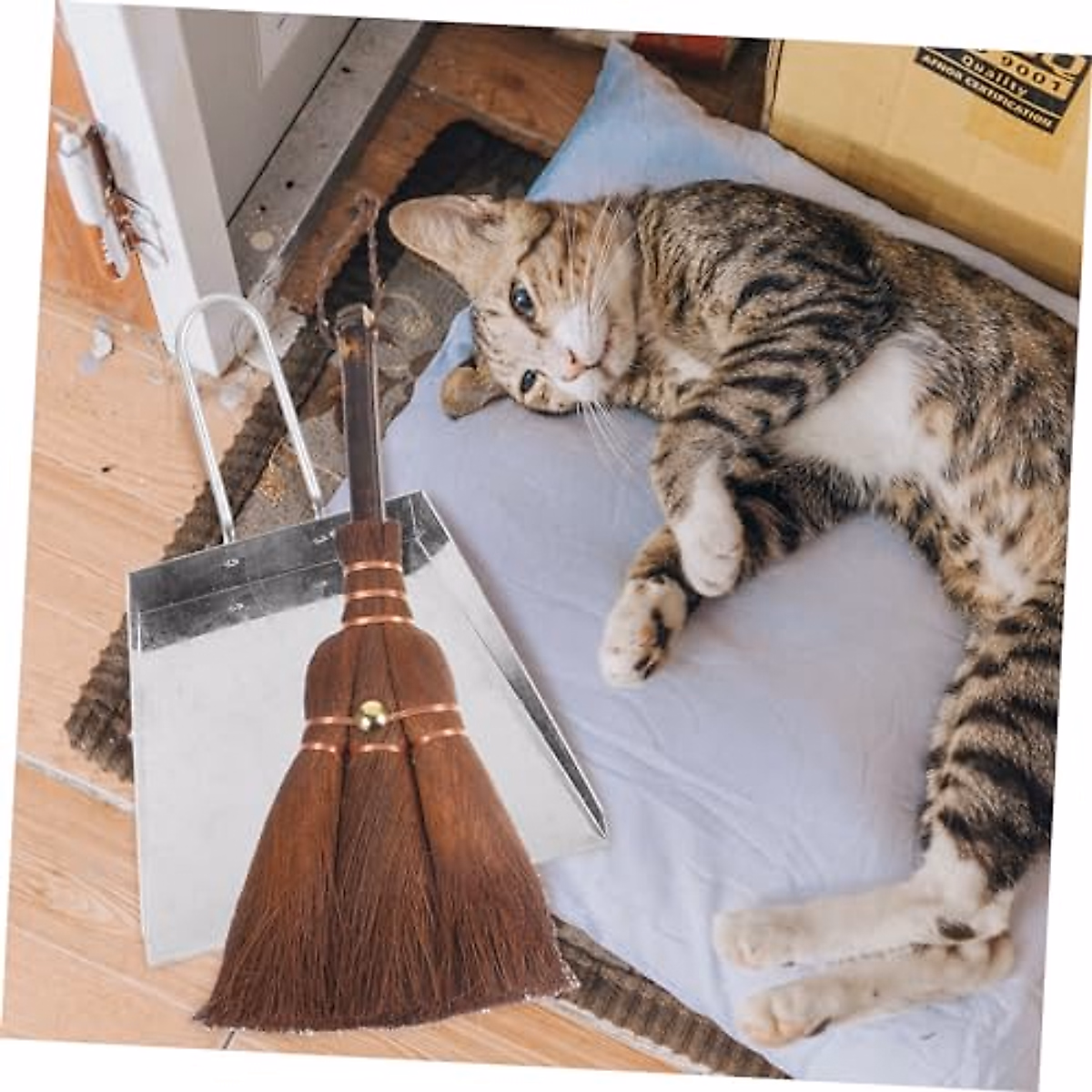 COOLHIYA 1 Set Pet Broom Dustpan Pet Cage Broom Mini Dustpan Home Accessory Desk Cleaning Broom Steel Scoop Litter Multi-Function Whisk Broom Convenient Dust Pan Small Broom Stainless Steel