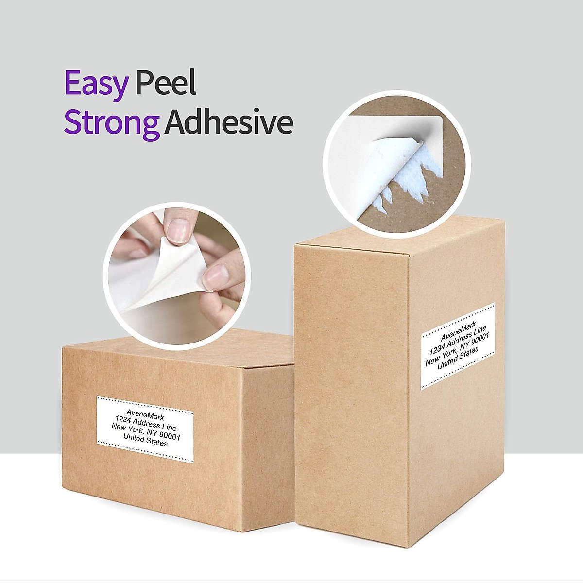 AveneMark 12 Rolls 4" x 2" Direct Thermal Labels for Barcodes Postage Address Shipping Labels Compatible with Rollo & Zebra Desktop Printers Adhesive - 750 Labels/Roll