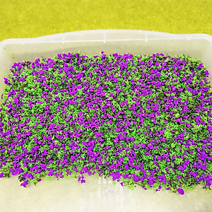 Colorful Tree Powder Model Tree Tufted for DIY Miniature Lowland Model Shrub Bushy Tuft Architecture Building Model Railway Fairy Garden Diorama Scenery (Purple)