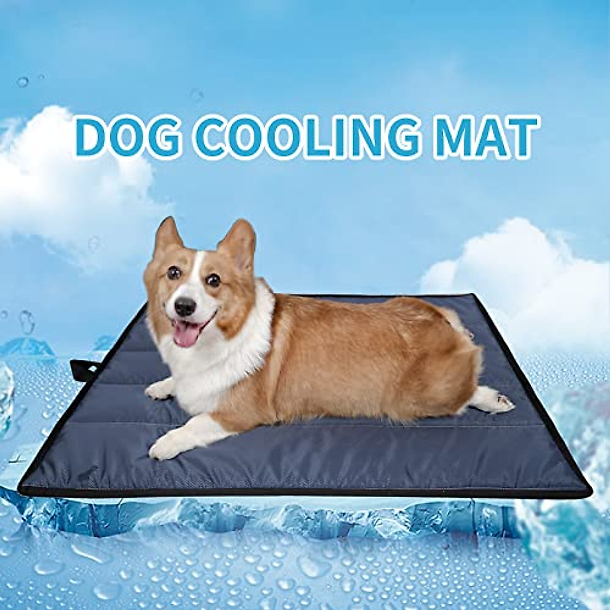 WELLYELO 51x36In XL Outdoor Dog Bed Mat Dog Crate Pad Portable Dog Crate Mats Washable Dog Beds for Extra Large Dogs Kennel Pads Sleeping Mattress (51x36, Blue)
