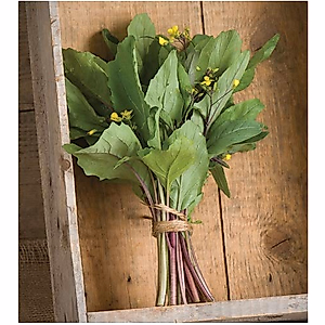 David's Garden Seeds Greens Asian Hon Tsai Tai FBA-9326 (Green) 200 Non-GMO, Heirloom Seeds