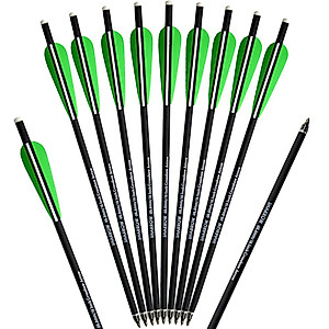 MILAEM 16/17/18/20/22 Inch 12 Pack Carbon Crossbow Bolts Hunting Practice Crossbow Arrows with Moon Nocks and 100 Grain Removable Tips (Green, 16 Inch)