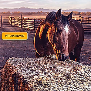 Texas Haynet - Round Bale Hay Net Slow Feed - Durable Round Bale Feeder for Horses - American Made UV Resistant Nylon Net - Fits Round Bales 4x6-6x6 or Square Bales 3x3x8-4x4x8 with 1.75" Holes