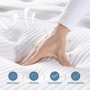 Lechepussleep Queen Mattress,Lechepus 14 Inch Hybrid Memory Foam Mattresses with Pocket Springs,Mattress in Box,Plush Feel Euro Top Mattress for Cool Sleep & Back Pain Relief,CertiPUR-US Foam