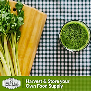 Survival Garden Seeds - Utah Celery Seed for Planting - Packet with Instructions to Plant and Grow Delicious Celery Plants in Your Home Vegetable Garden - Tender and Crisp Non-GMO Heirloom Variety