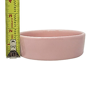 Rae Dunn Magenta Ceramic Cat Pet Bowl Gift Boxed Set of 2 (Meow/Purrfect/Pink)