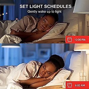 Sengled Alexa Light Bulb, WiFi Light Bulbs, Smart Light Bulbs, Smart Bulbs that Work with Alexa & Google Assistant, A19 Soft White (2700K) No Hub Required, 800LM 60W Equivalent High CRI>90, 4 Pack