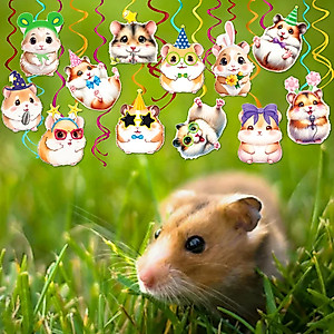 Hamster Hanging Swirls Hamster Party Decorations 20Pcs Guinea Pig Hanging Streamers Hamster Birthday Party Supplies Guinea Pig Ceiling Swirls for Hamster Baby Shower Supplies