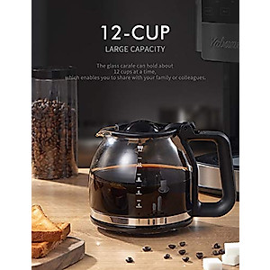 Programmable Coffee Maker, 12 Cups Coffee Pot with Timer and Glass Carafe, Brew Strength Control, Keep Warming, Mid-Brew Pause, Coffee Machine with Permanent Coffee Filter Basket, Anti-Drip System
