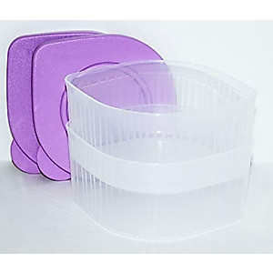 Tupperware Fresh N Cool 2 Cup Set of 2 in Sheer and Daisy Purple