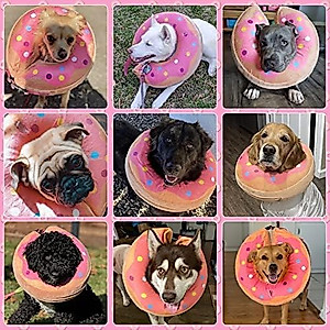 BINGPET Protective Dog Cone Collar,Soft Recovery Pet Cone for Dogs Cats,Washable Protective Recovery Collar for Large Medium Small Dogs,Inflatable Dog Cone,Adjustable Pet Recovery Cone After Surgery