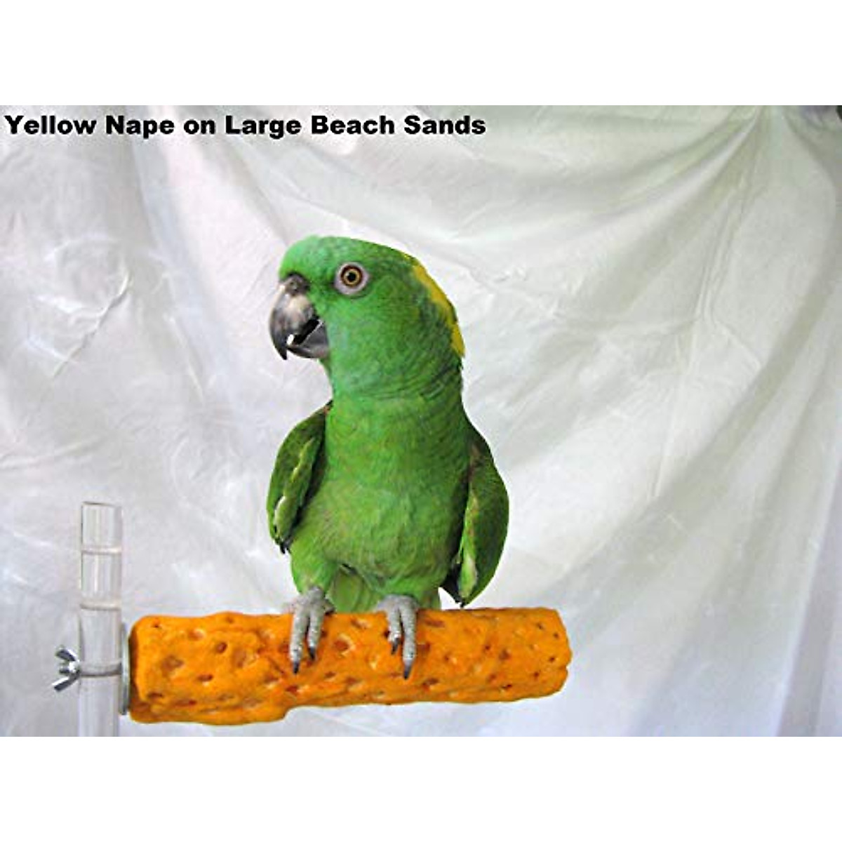 Polly's Beach Sands Bird Perch, Small