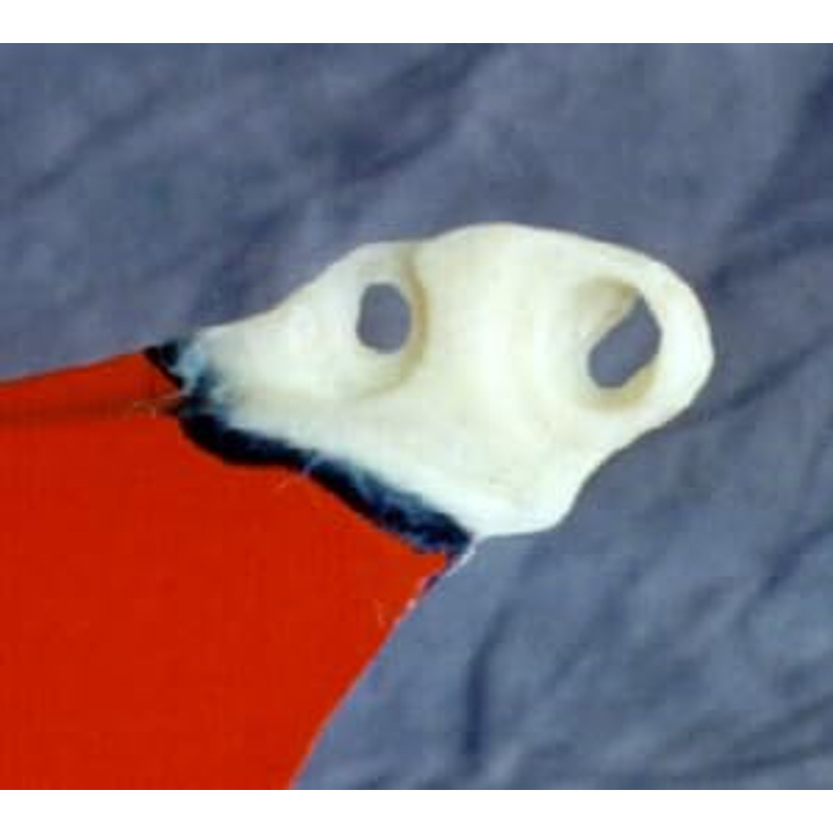 Polyvance PlastiFix Kit (White)