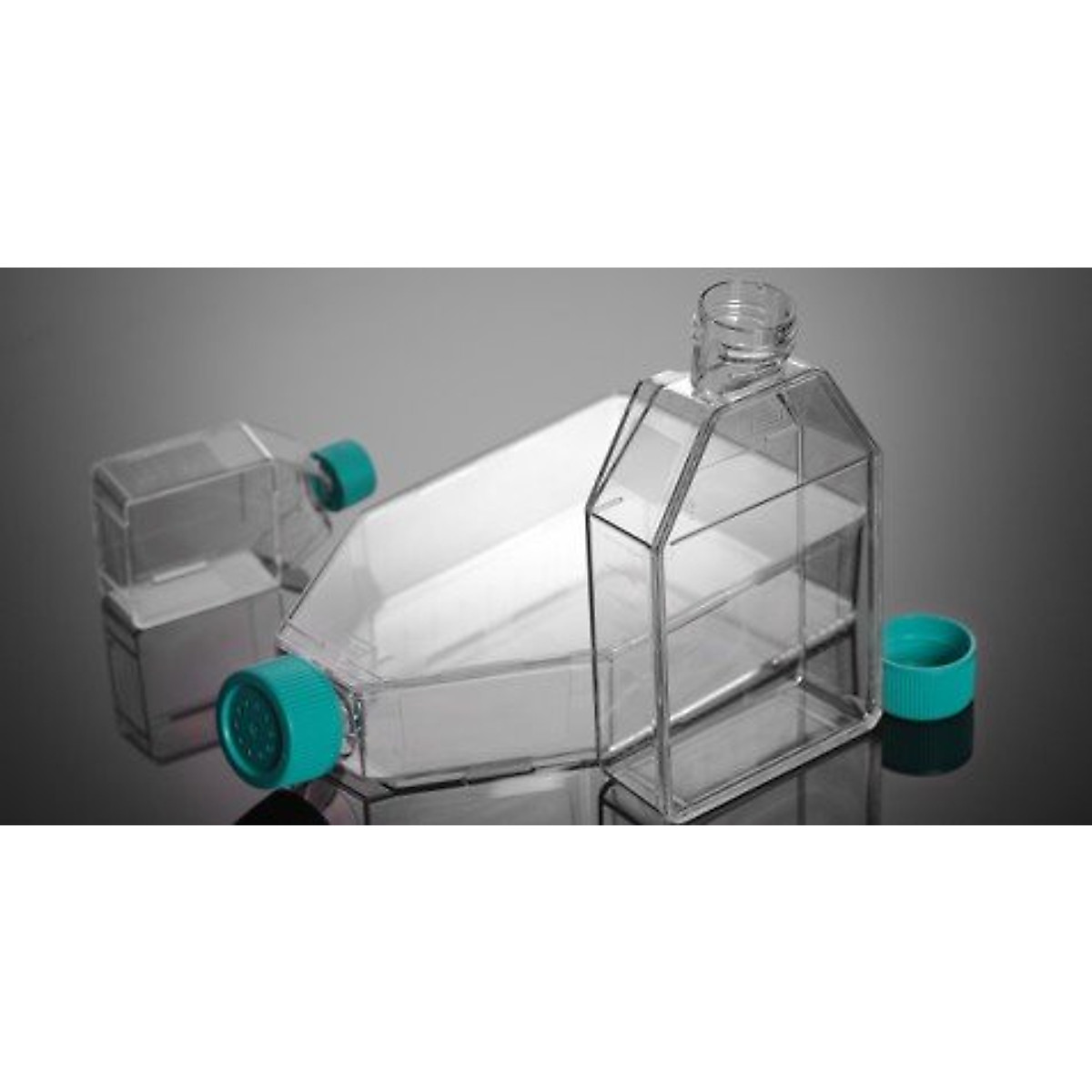 Sterilized Cell Culture Flasks - 250ml, 75cm2, Vent Cap, 5/pk