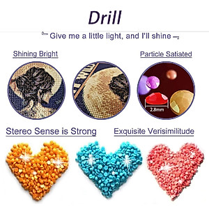 VeGuude Diamond Painting Kits for Adults, 4 Pack Flowers 5D Diamond Art Kits, Full Drill DIY Crafts for Adults Home Wall Decor Gift Diamond Dots [11.8x15.7inch]