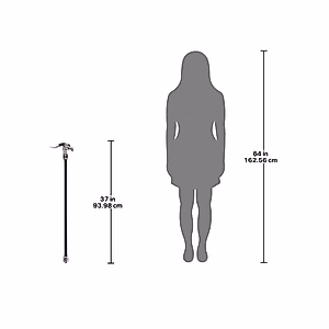 Design Toscano Dragonsthorne Nebula Dragon Gothic Walking Stick Swagger Cane, 38 Inch, Black and Silver