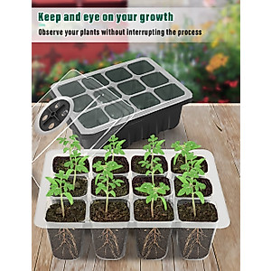 14 Packs Seed Starter Tray, 168 Cells Total Tray, Seed Starting Kit with Adjustable Humidity Dome and Base Plant Starter Kit Mini Greenhouse Germination Kit with 2 Garden Tools and 20 Plant Labels