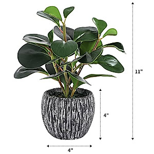 LORYDECO Artificial Potted Plants, Real Looking Fiddle Leaf Fake Plant with Pot, Plastic Watercress Leaves Small Faux Trees with Cement Planter, Greenery Plant Table Decor for Home Indoor