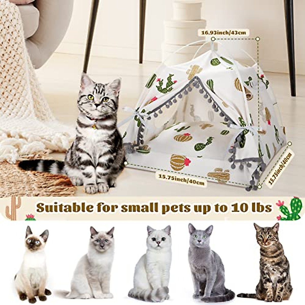 Grand Line Cat Bed Cat House with Mat, Foldable Cat Tent Kitten Teepee Indoor Outdoor, Portable Cute Nest for Cat Dog Puppy up to 10 lbs, Washable Cushion, All Seasons Available (Cactus)