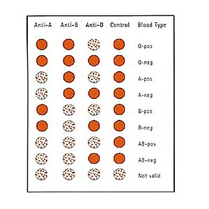 Eldoncard Blood Typing Kit, 1 Test, Know Your Blood Type, Instant Home Testing Kit, A, O, B, Rhs-D Negative and Positive Blood Types Tested