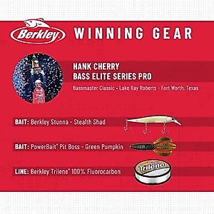 Berkley Stunna Fishing Hard Bait, Phenom, 112mm - 1 (1/2 oz)