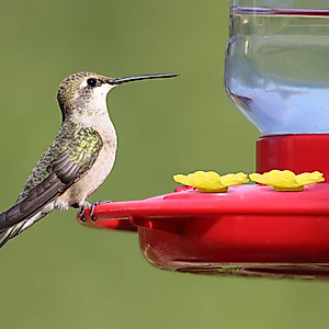 Hummingbird Feeders Replacement Flowers, Feeding Ports Replacement Bird Feeder Replacement Parts for Hummingbird Feeder Hanging Feeder (Yellow,16 Pieces)