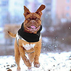 Queenmore Warm Dog Jacket, Reversible Dog Winter Coat, Reflective Windproof Waterproof Dog Clothes for Winter, Plaid Dog Coats for Small Medium Large Dogs Boy Girl Dogs, Brown, XS