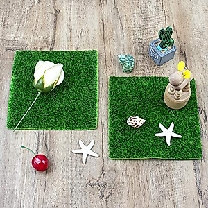 AUEAR, Artificial Garden Grass Life-Like Lawns Fake Fairy Grass Mats Mini Ornament Garden Grass Decoration (10 Pack, 6"x6")