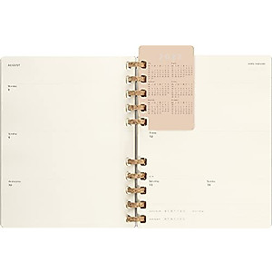 Moleskine Spiral 12 Month 2023 Solar Year Planner, Hard Cover, XXL (8.25" X 11.75"), Smoke