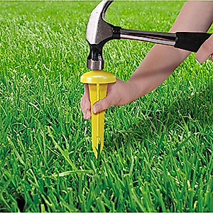 Simple Solution Pee Post Outdoor Potty Training Aid | Pheromone-Infused Yard Stake with GO HERE™ Technology | 13 Inch Stake