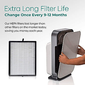 Alen Air Filter B4-Pure Replacement H13 True HEPA Filter for BreatheSmart 45i & Flex Air Purifier - Captures Allergens, Dust, & Mold (1 Filter)