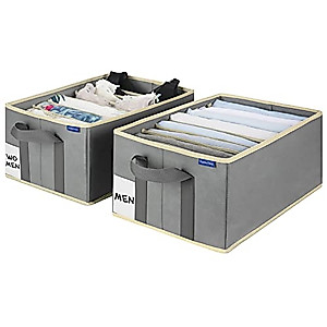 roomtalk Wardrobe Clothes Organizer for Shirts & Pants 8-Grids, Clothes Organizer for Folded Clothes with Double Handles & Label Pocket, 11.8" W x 16.5" D x 7.9" H, 2 Pack Grey.