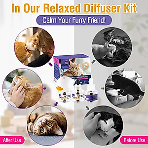 DUNKHADEN Cat Calming Pheromone Diffuser Reduces Conflict Between Cats Effective Anxiety Relief for Cats & Cat Calming Soothing 48ML 3 Refills Fits All Cats - 3 Pack