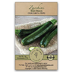 Gaea's Blessing Seeds - Zucchini Seeds - Non-GMO - with Easy to Follow Planting Instructions - Heirloom Black Beauty Summer Squash 97% Germination Rate
