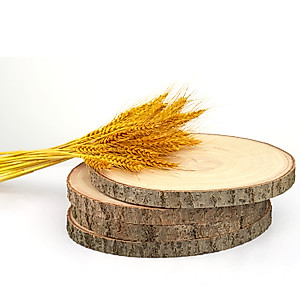 Joyavo Unfinished Wood Slices, 4 Pack 9-10 Inches Wood Rounds Rustic Cake Stand Large Wooden Circles for Christmas WeddingTable Centerpieces/Crafts/Painting/Wood Burning