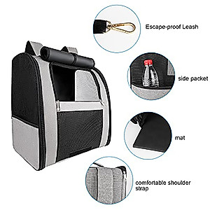 FOYOPET Pet Carrier Backpack for Cats and Dogs Up to 22 lbs, Collapsible Cat Carrier for Large Cats, Small Dog Carrier Ventilated Design for Puppies, Rabbits, Small Pets Travel, Hiking & Outdoor Use