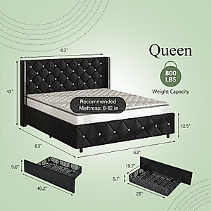 HOMBCK Queen Bed Frame with 4 Storage Drawers,Upholstered Bed Frame with Diamond Headboard and Footboard, Black Velvet Bed Frame with Wingback, Solid Wood Slats, Black