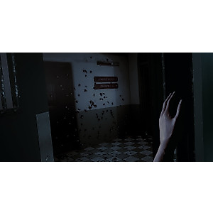The Inpatient (PSVR)